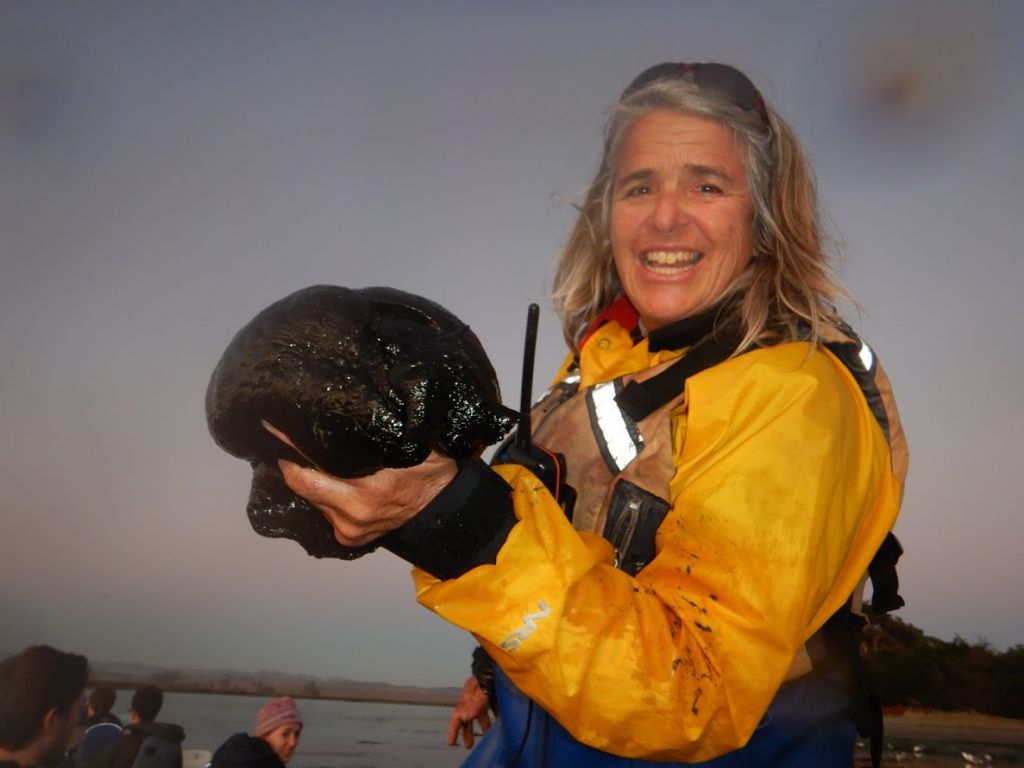Meet Kim Powell | Naturalist Guide - SHOUTOUT SOCAL
