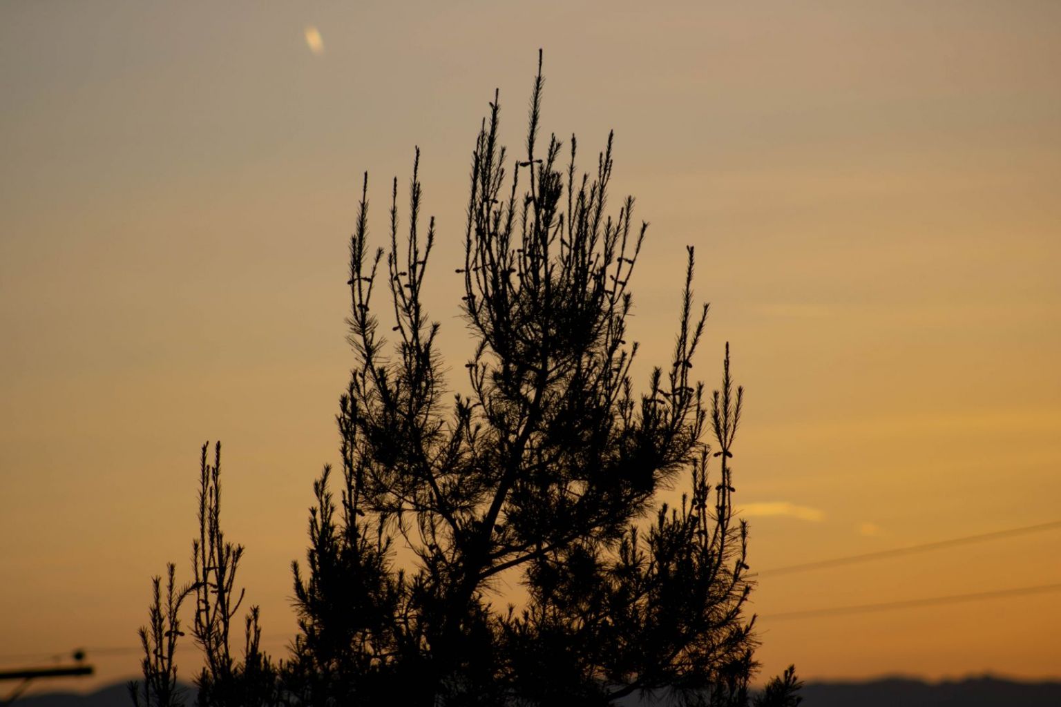 Meet James Rao | Shop Owner, Digital Artist, Photographer - SHOUTOUT SOCAL