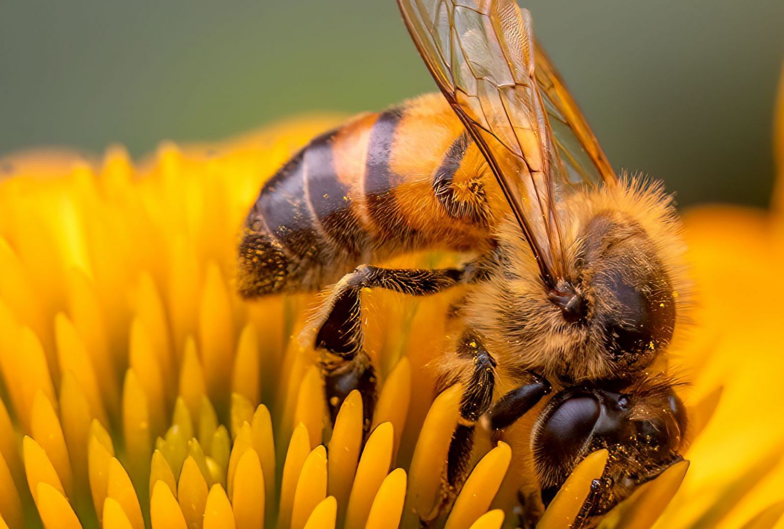 Meet Mark Ritter | Photographer - SHOUTOUT SOCAL