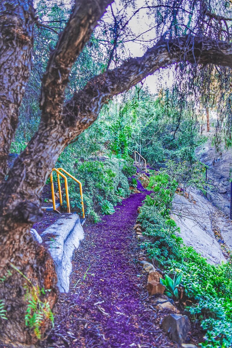 Meet Dee Dee Reed | Entrepreneur /Artist/YouTuber/Content Creator ...